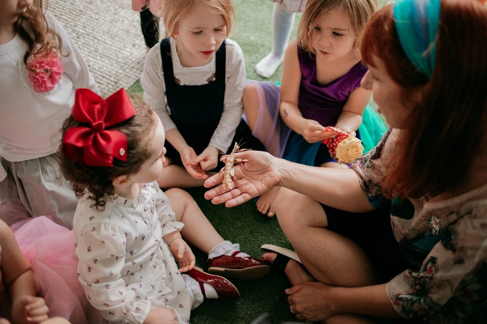 BugKidz | Mobile Educational Shows & Childcare Incursions (Gold Coast)